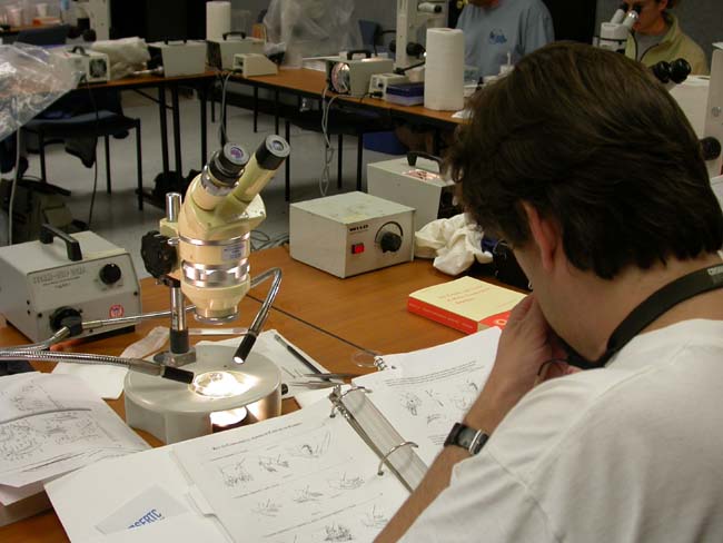 SERTC: Amphipod Workshop